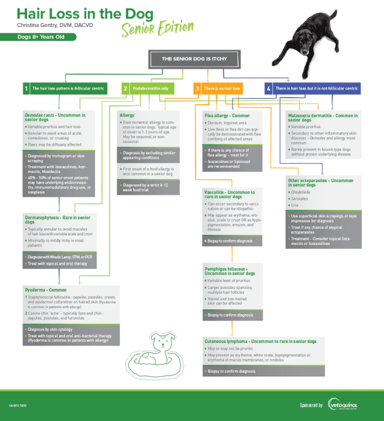 Itchy Dog Flow Charts - DermED